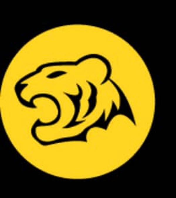 TigerWit share nugget on forex trading for Nigerians
