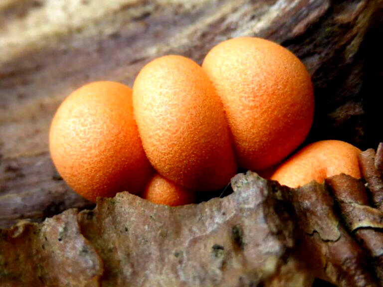 Amadioha, the Igbo traditional god of thunder - Vanguard News