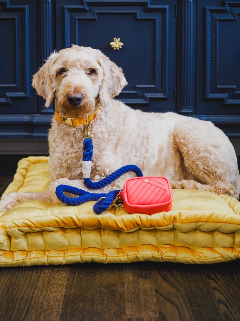 Pink Papyrus- helping your pooch look and feel their best at all times ...