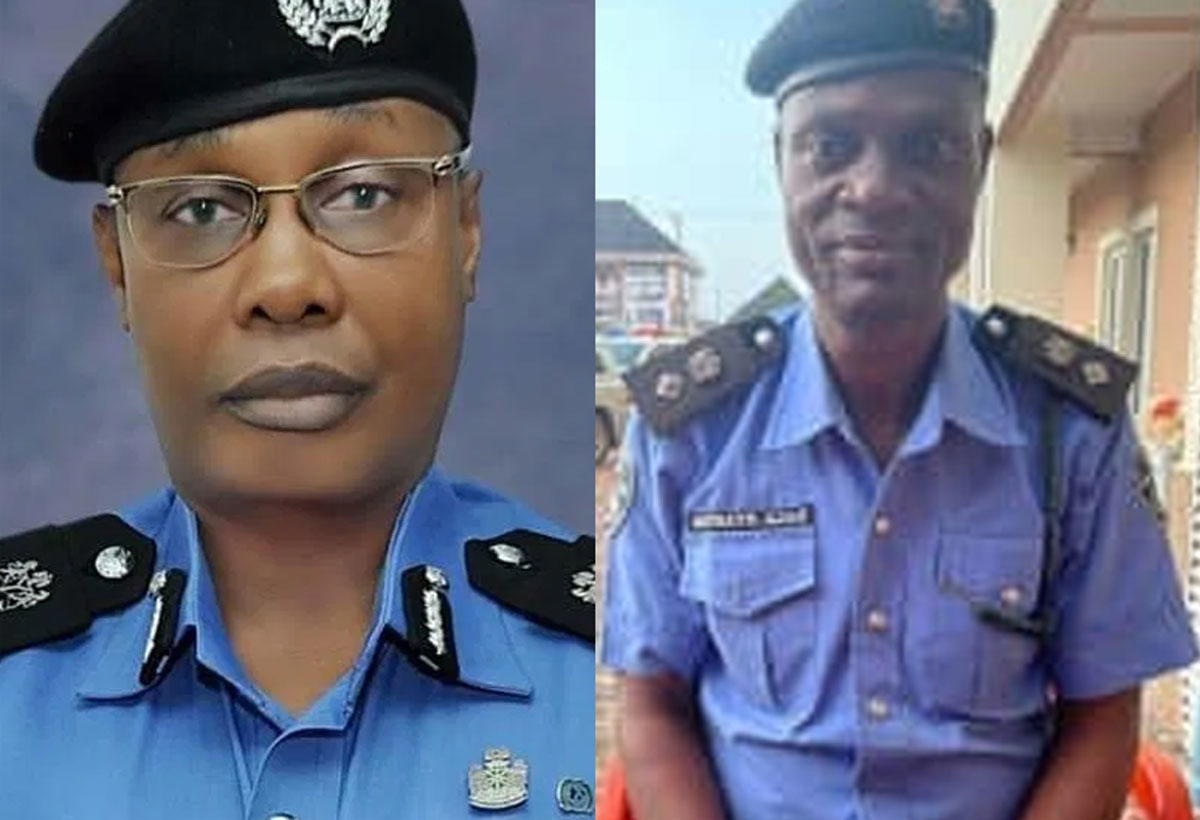 Effective community policing in Nigerian town could be a model for ...