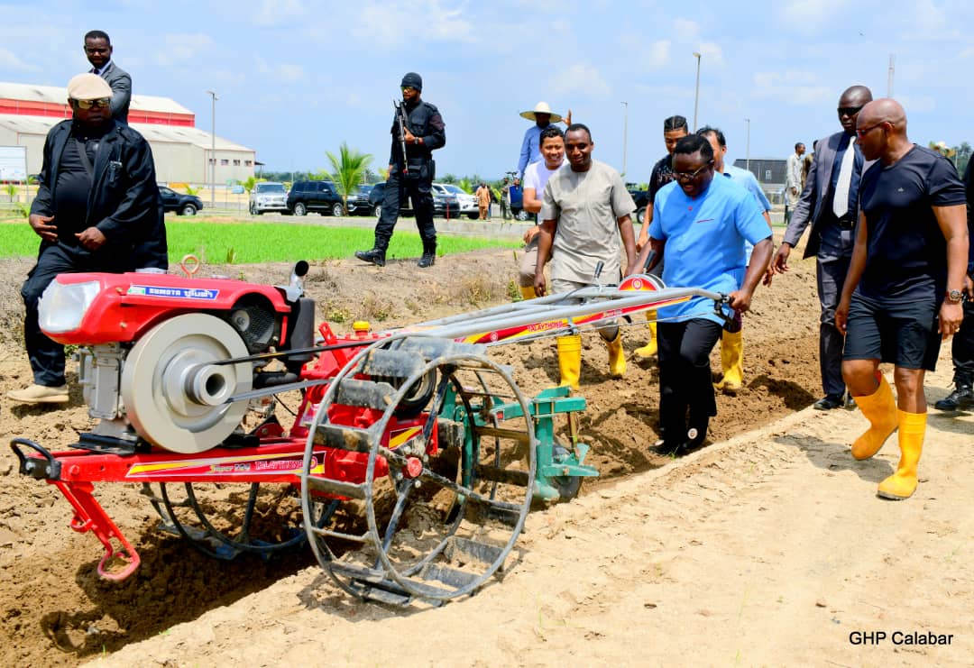 I brought king grass to solve Nigeria herders crisis, empower farmers ...