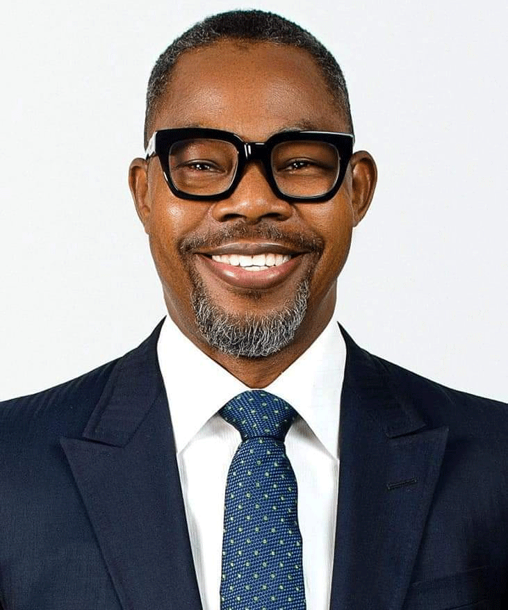 Resourceful Legislature: The Adeogun example - Vanguard News