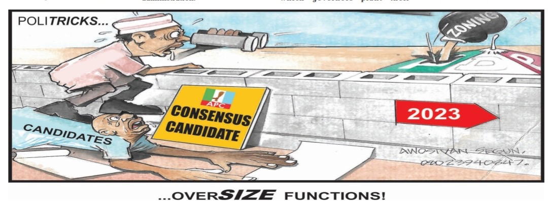 Cartoon: APC/PDP presidential aspirants and zoning - Vanguard News