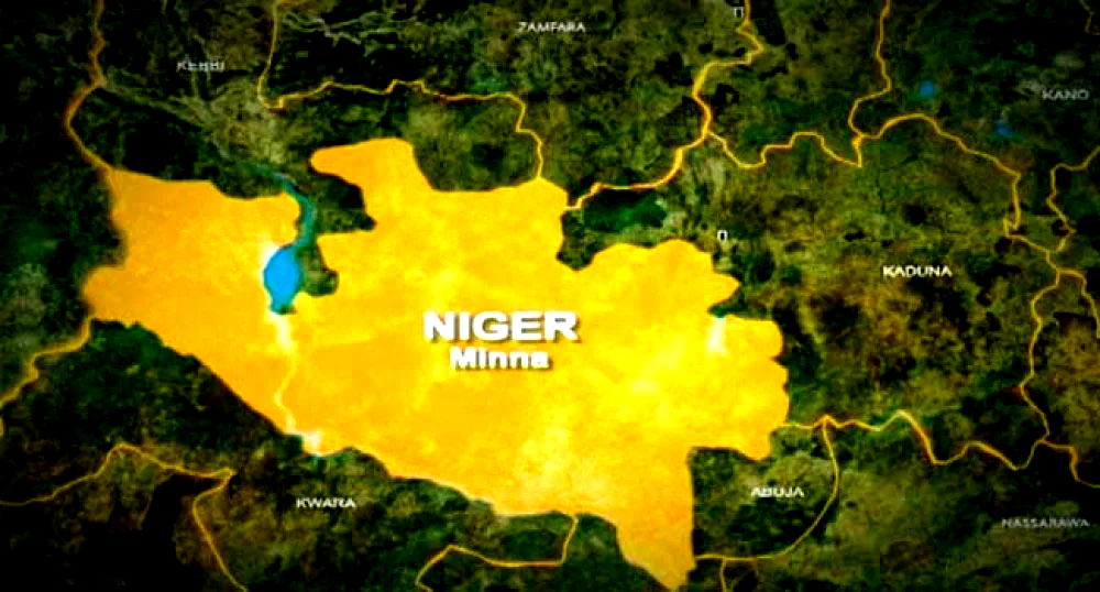Niger Emir rescues two girls from forced marriage - Vanguard News