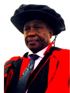 Merit Always Wins - Taiwo Ajayi-Lycett - Vanguard News