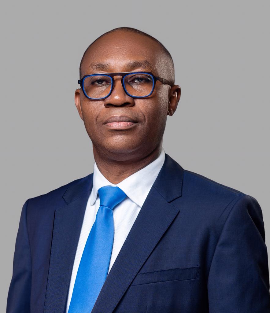 NOVA Bank CEO, Ude urges Auditors on tech skills to cope with new ...