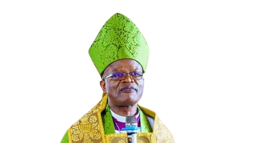 Nigeria looks more like murder land than motherland — Archbishop Onuoha - Vanguard News