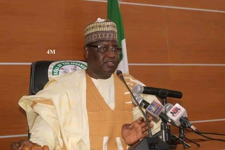 Borno Assembly clears 19 commissioner nominees, as Speaker laments ...