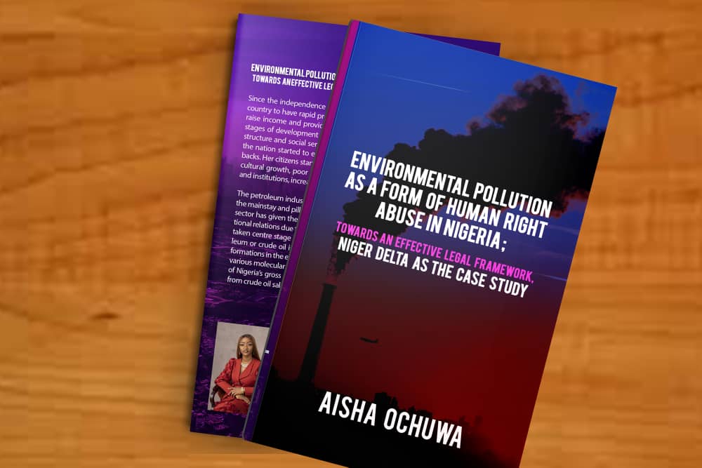 Aisha Ochuwa: Thriving Online Jewel Merchant Paving The Way - Vanguard News