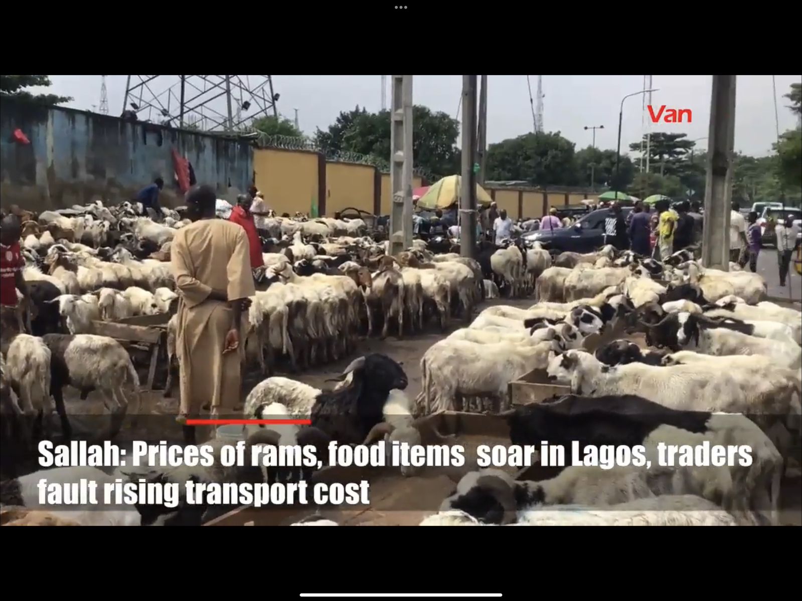 [VIDEO] Sallah: Prices of rams, food items soar in Lagos, traders fault ...