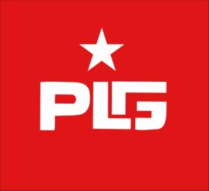 PLG unveils new logo, visual brand identity - Vanguard News