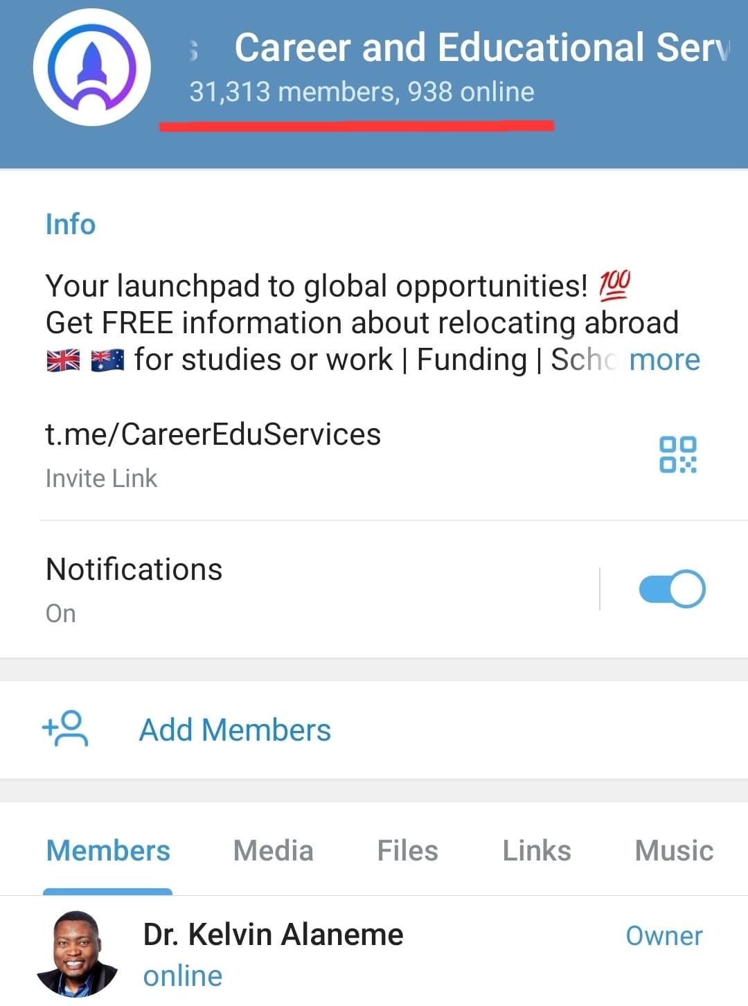 How CareerEdu is saving Nigeria from the outside by improving diaspora remittances through its ...