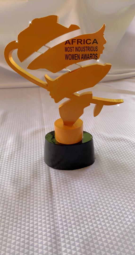 Africa Most Industrious Women Awards 2022 holds - Vanguard News