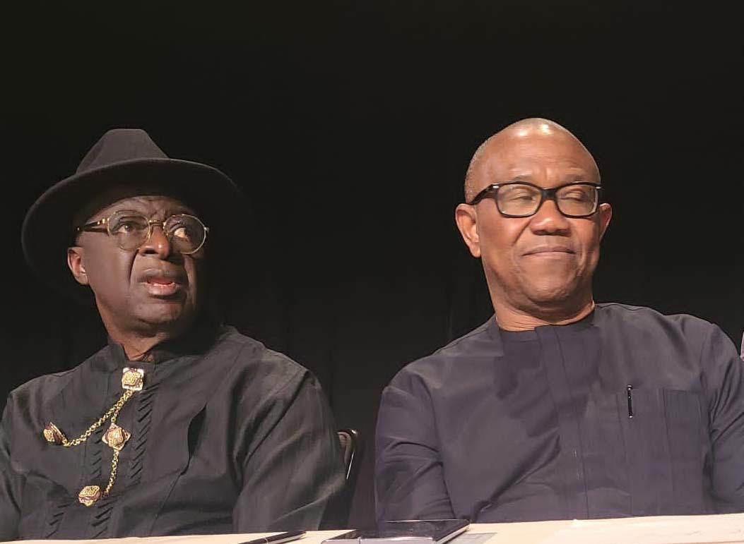 Annie Okonkwo: Peter Obi's presidential ambition is prayer answered