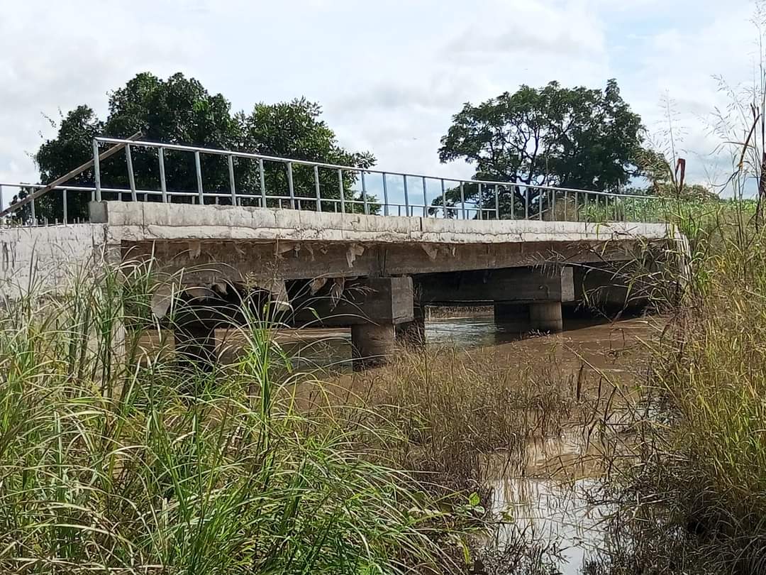 Septuagenarian’s death sparks anger over abandoned Benue’s bridge of ...