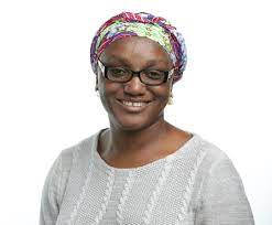 Renewable energy: I'm doing my best to push govt policies — Habiba Ali ...