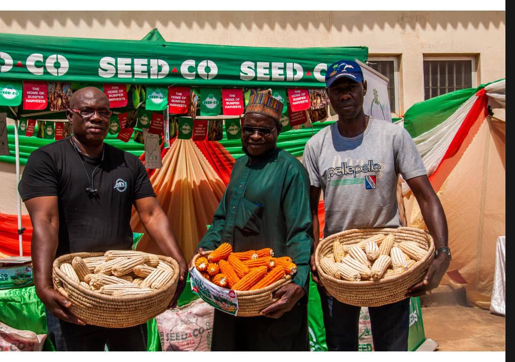 Agro firm showcases hybrid seeds potential for food production ...