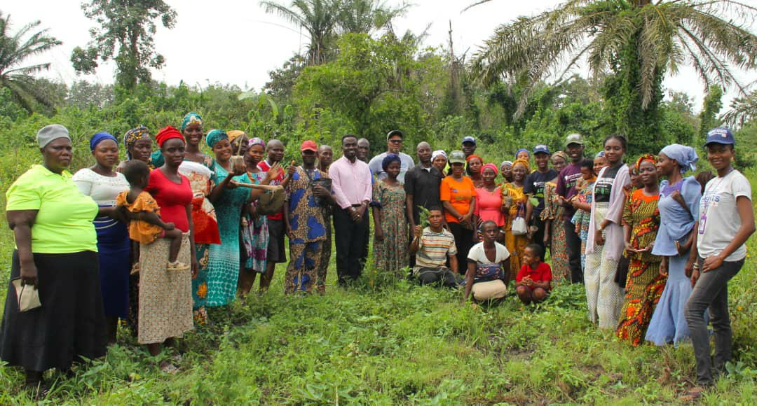 Climate Change: Ripple Heights, GLF partner to educate farmers on ...