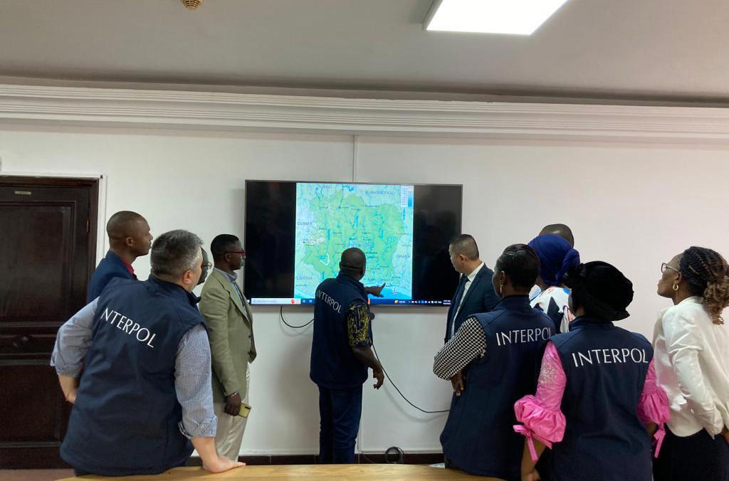 Interpol arrests 15, rescues 90 in anti-human trafficking raids in Togo ...