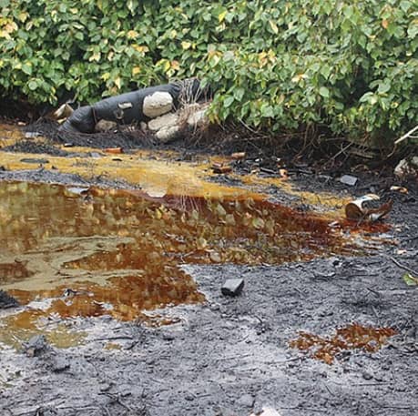 Oil theft: Group laments pollution of farm land, environment in Delta ...