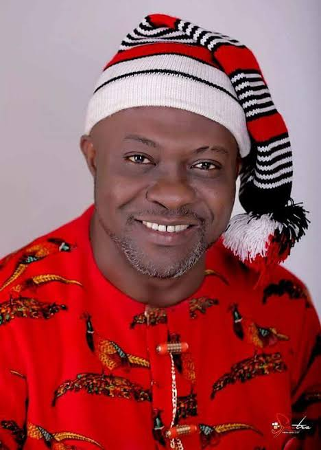 BREAKING: Labour Party's Ginger wins Reps, floors PDP, APC in Abia ...
