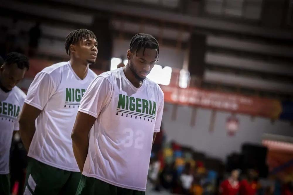 FIBA Rankings: D'Tigers place first in Africa, 19th globally