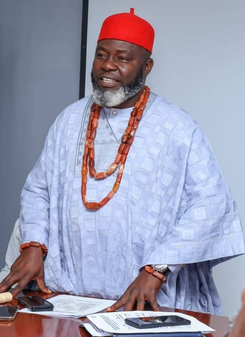 POLLS: How Ajuwa of Aboh Kingdom, others floored APC - Vanguard News