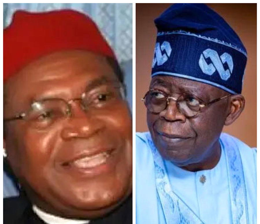 Tinubu already serving Igbo ‘bread soaked in water’ — Nwodo