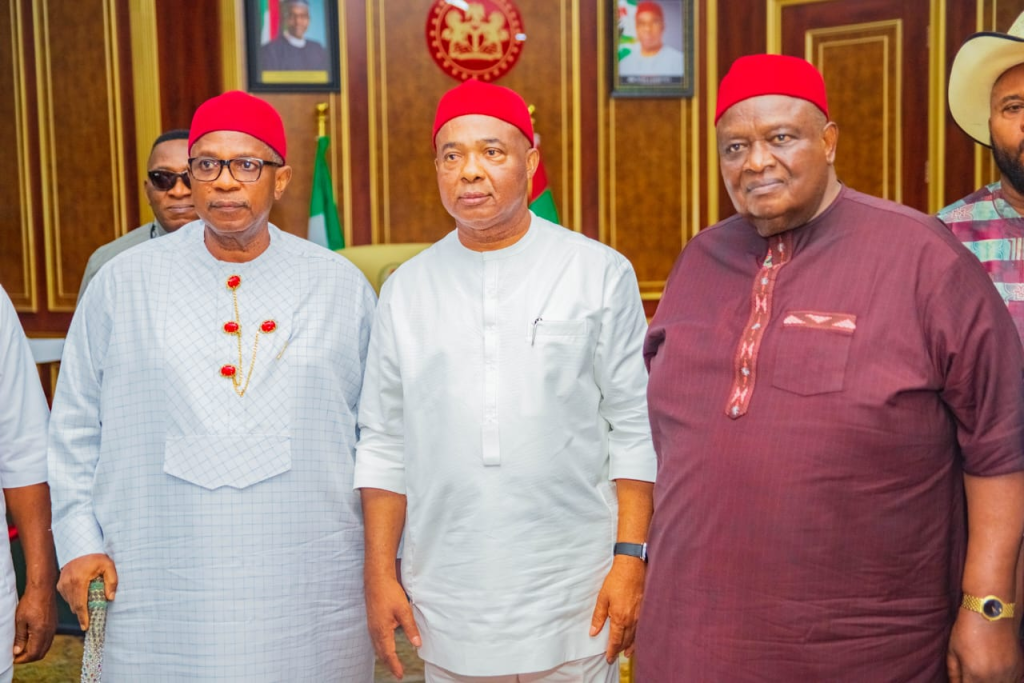 Imo govt endorses Iwuanyanwu as President of Ohaneze Ndi Igbo ...