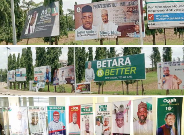 10th NASS: Lawmakers set record with numbers, posters, money ...