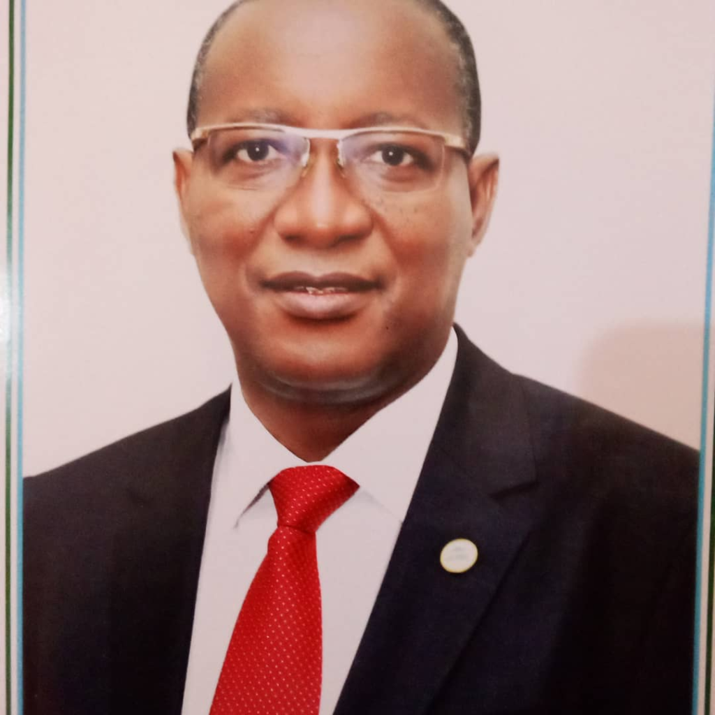 FMBN commits N8.2b to 2,096 Housing units in Kwara - Vanguard News