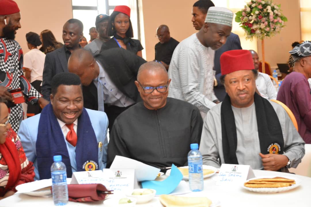 Handshakes across Nigeria, Nzuko Umunna’s Prescription for National ...