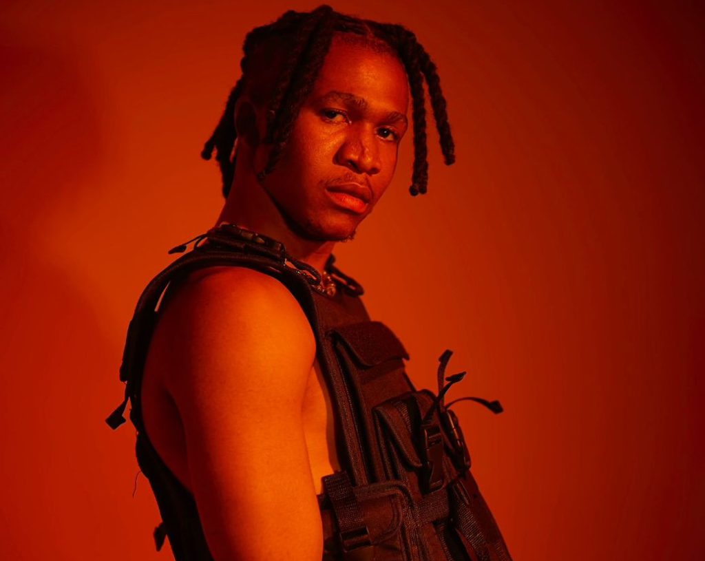 Singer, Brown Joel sets TikTok on fire with 'Peace' - Vanguard News