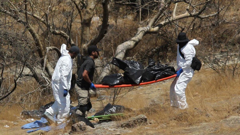 Mexican police discover 45 bags of body parts in bush
