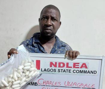 NDLEA nabs drug lord, recovers 12.4m pills of opioids