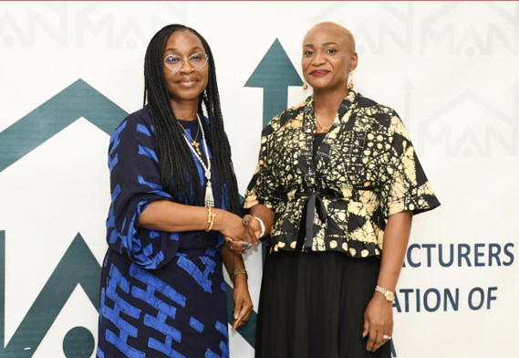 MANEG names Odiri Erewa-Meggison as chairman - Vanguard News