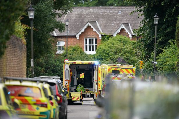 8-yr-old girl killed in London primary school crash - Vanguard News