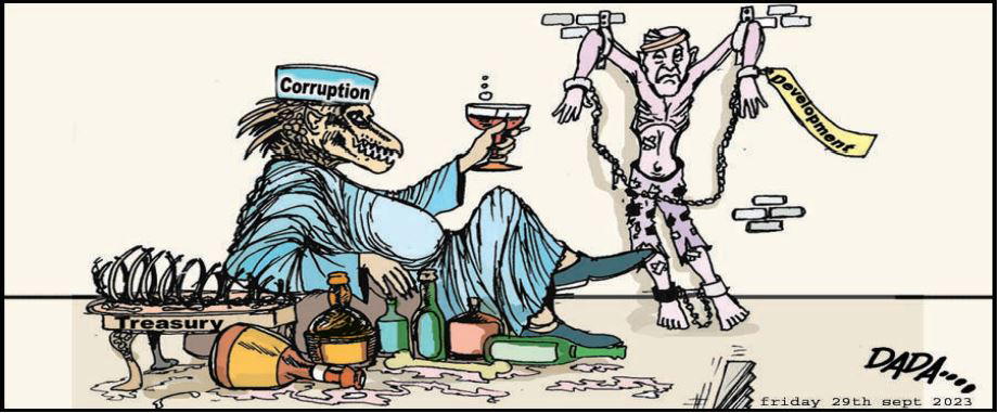Cartoon: 'Let's toast to gradual development’ - Vanguard News