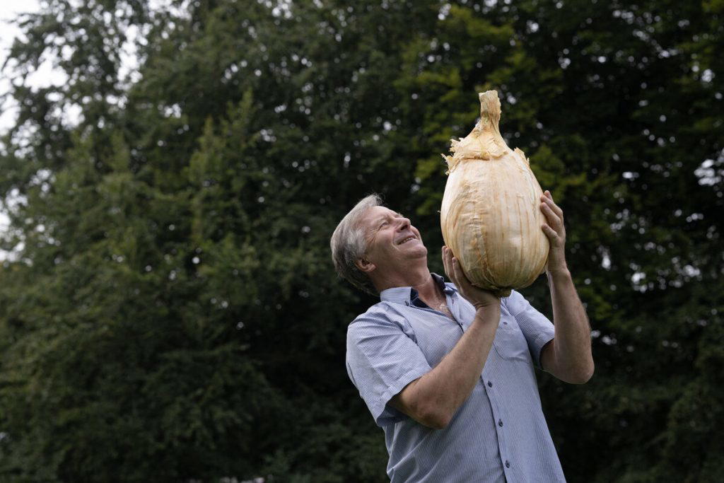 Record-breaking 9 kilo onion displayed at Harrogate Flower Show ...