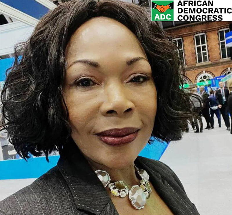 We're here to broaden reach — ADC's Mabel Oboh at UK's Conservative's ...