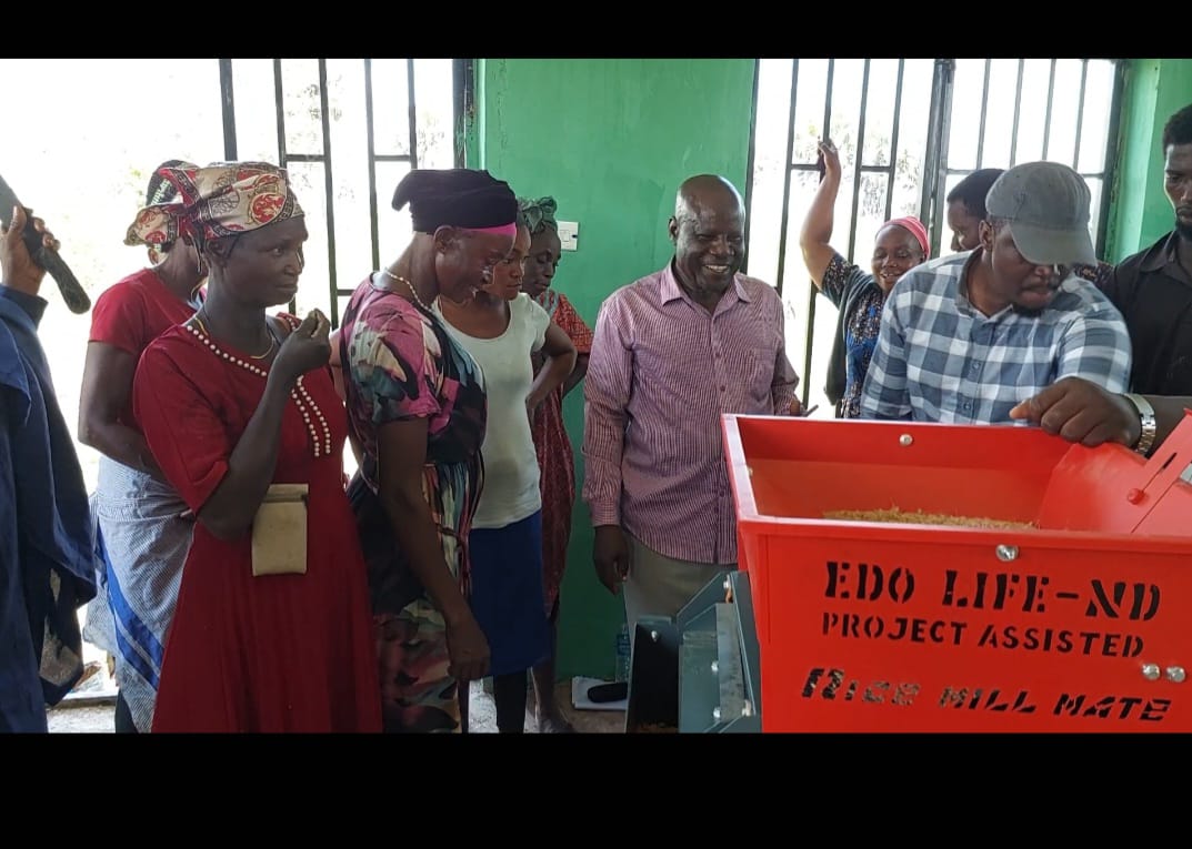 LIFE-ND Project supports Osomegbe community with rice mill - Vanguard News