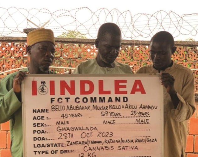 NDLEA arrests three blind men over drug trafficking, seizes narcotics ...