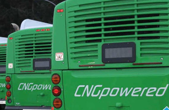 CNG Bus Inauguration: a transport sector revolution unfolds - Vanguard News