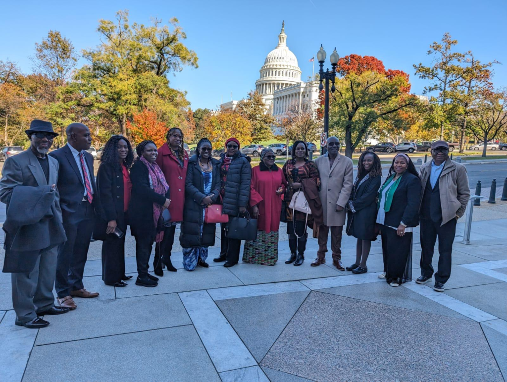 Diaspora group vows to promote Nigerian-American interest - Vanguard News