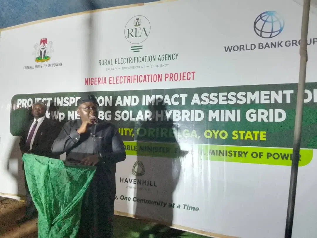 FG to provide electricity to people in unserved, underserved ...