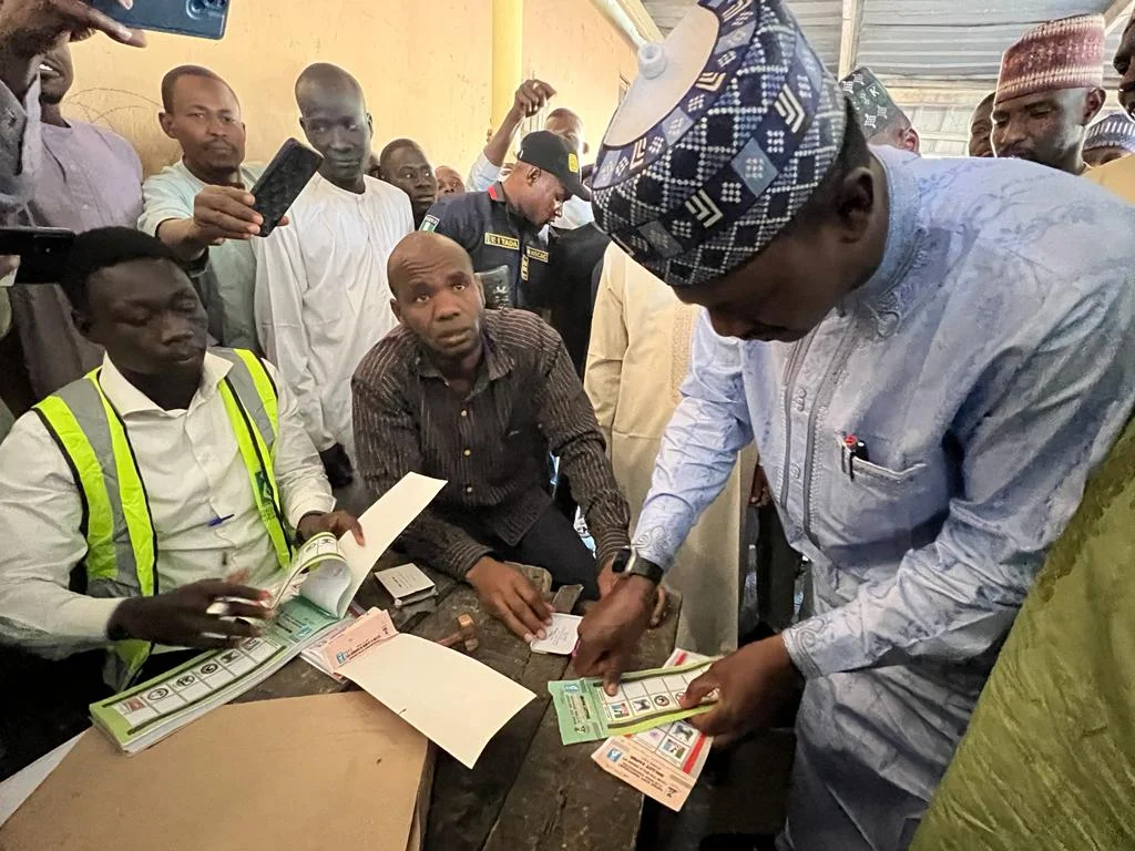 Borno electorate vote for LG councillors - Vanguard News