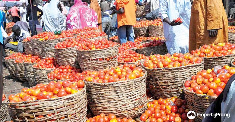 Top 7 markets in Lagos to buy affordable food items - Vanguard News