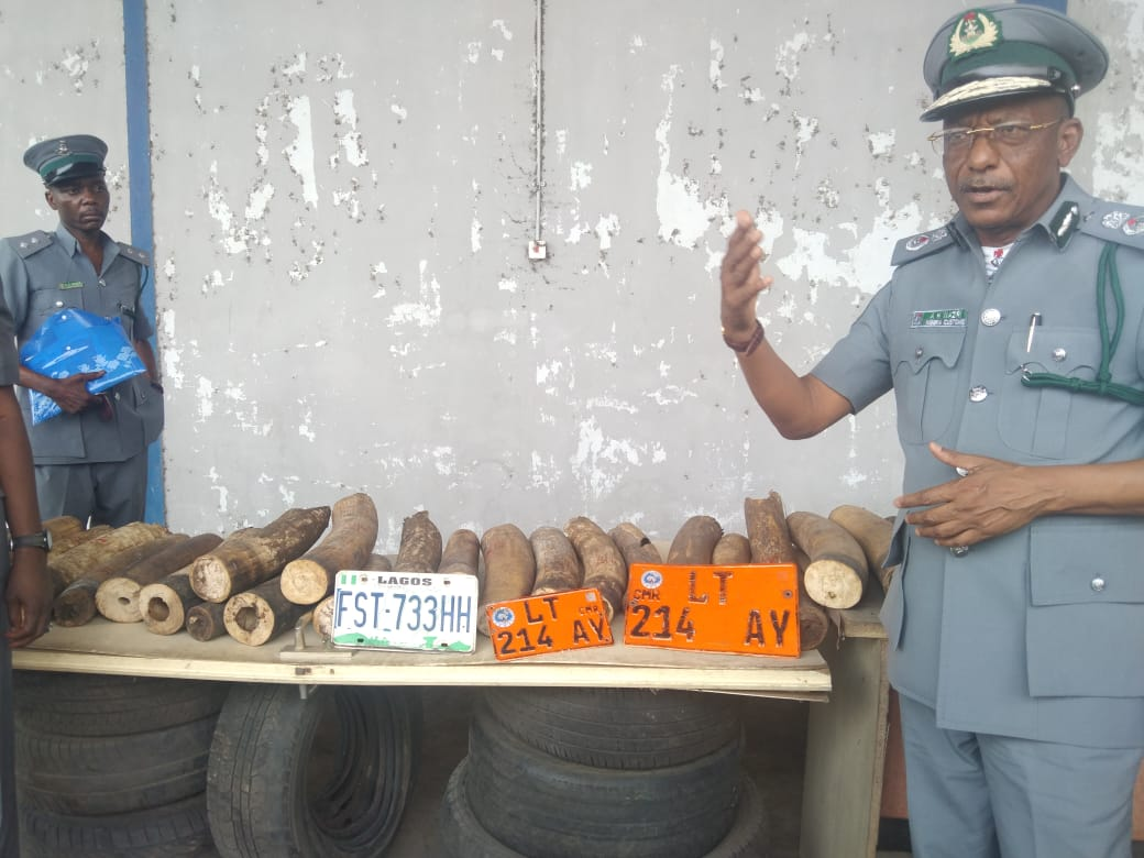 Customs intercept 52 units of Elephant's Tusks at Cross River border ...