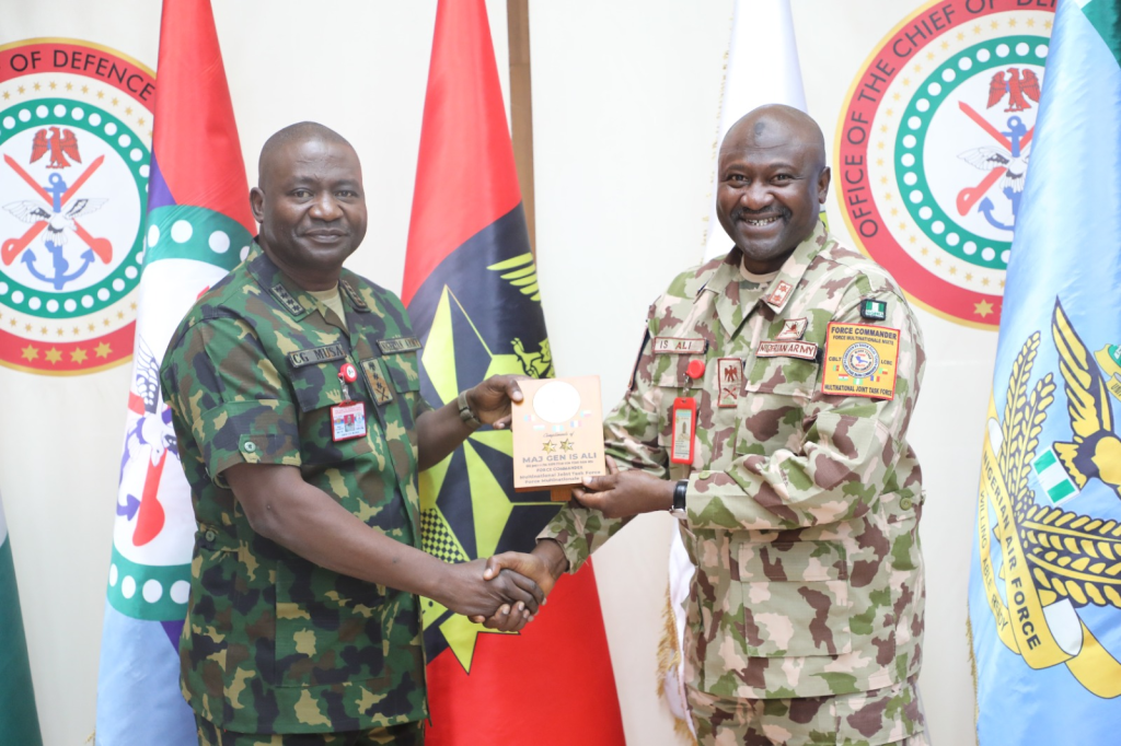 Insurgency: MNJTF records more successes in Lake Chad area - Force commander - Vanguard News