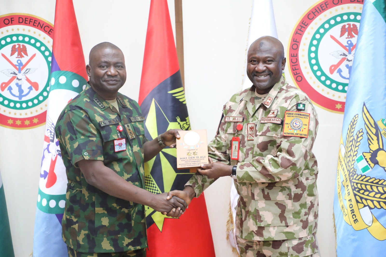 Insurgency: MNJTF records more successes in Lake Chad area - Force ...